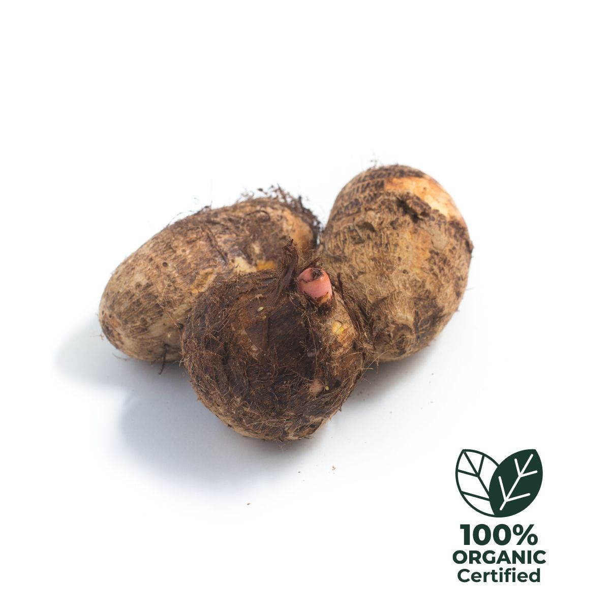 Organic Fruits & Vegetables: Buy Organic Fruits & Vegetables Online ...