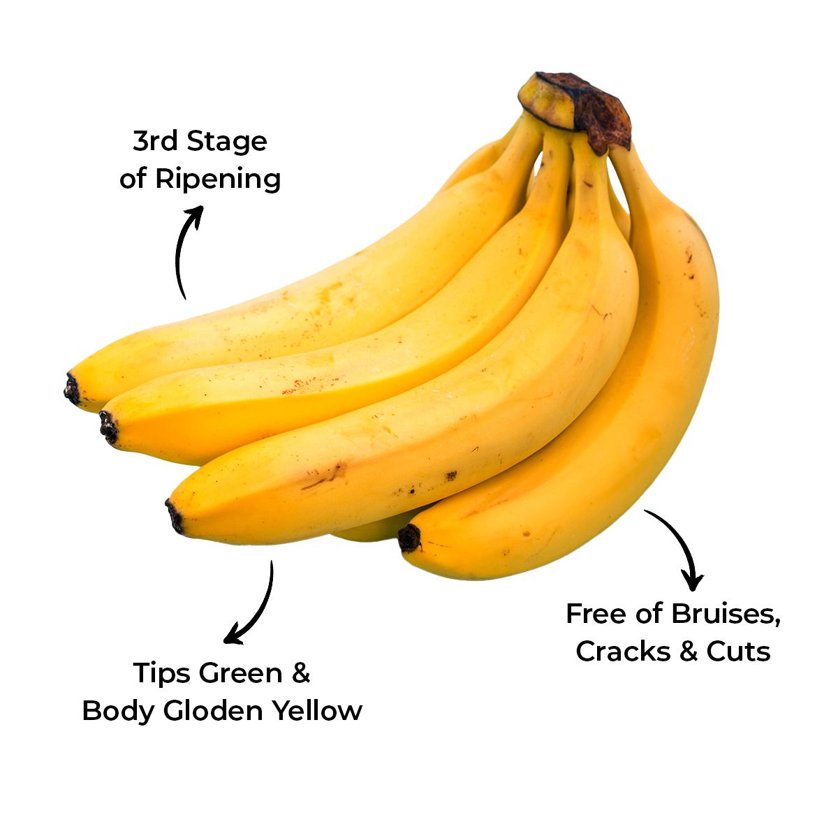 Fruits Online: Order Farm Fresh Fruits Online at Your Convenience | Pluckk