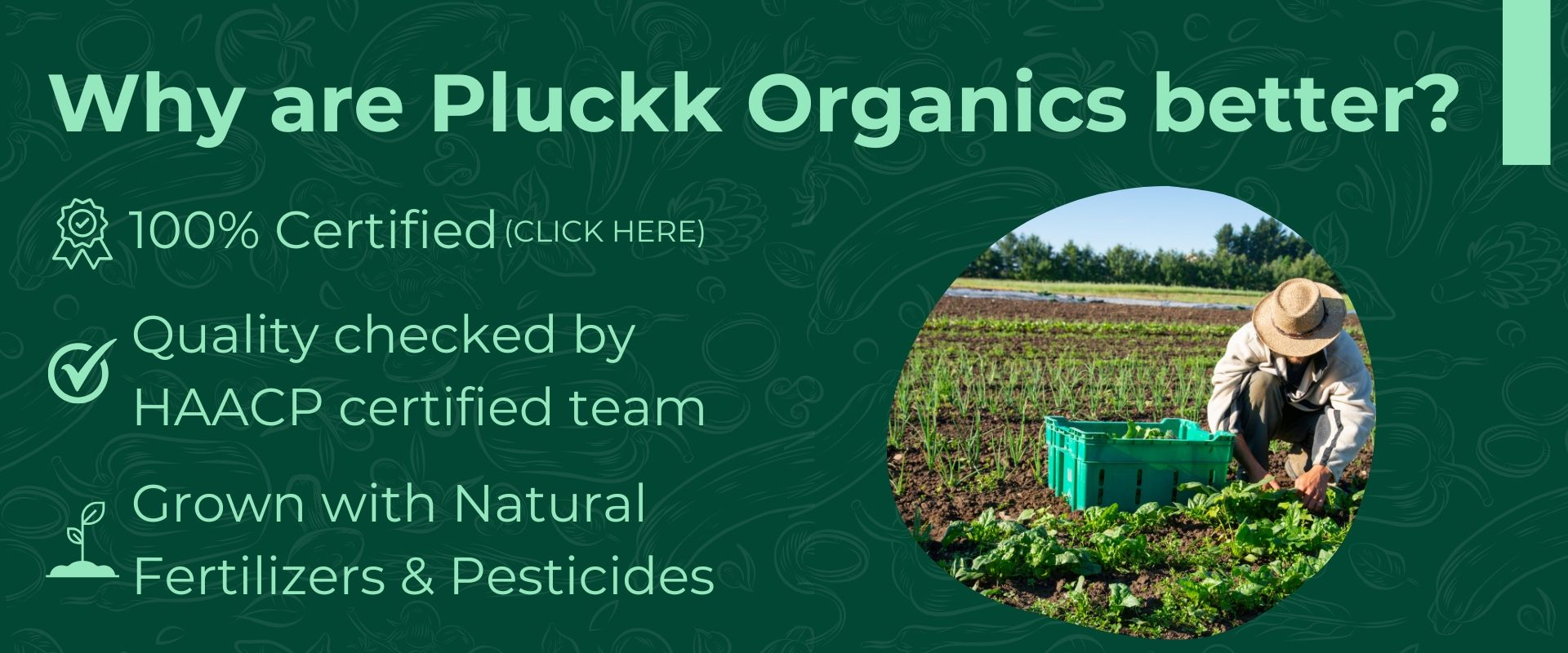 Organic Fruits & Vegetables: Buy Organic Fruits & Vegetables Online ...