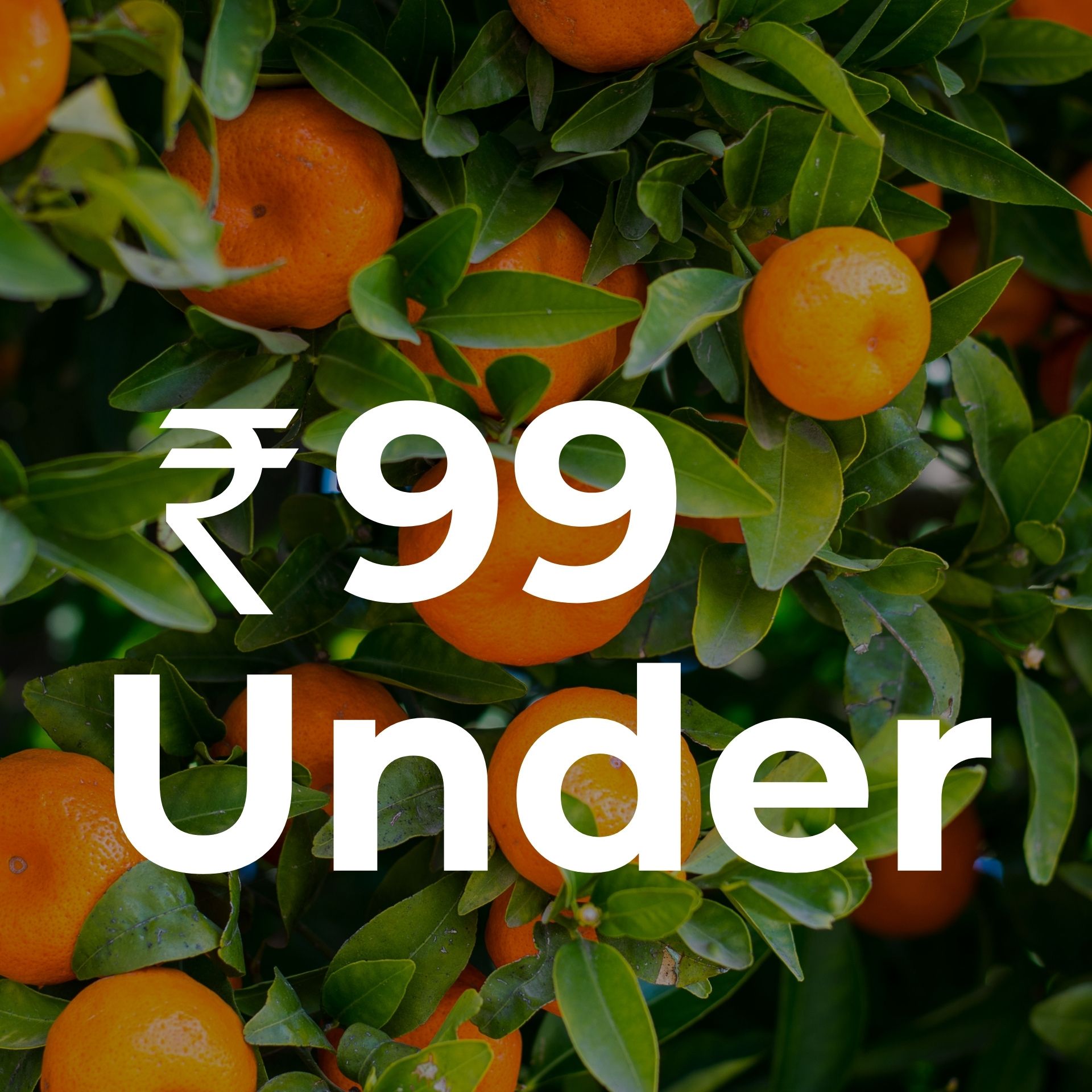 "Pluckk's produce is always fresh & of extremely good quality. They ...