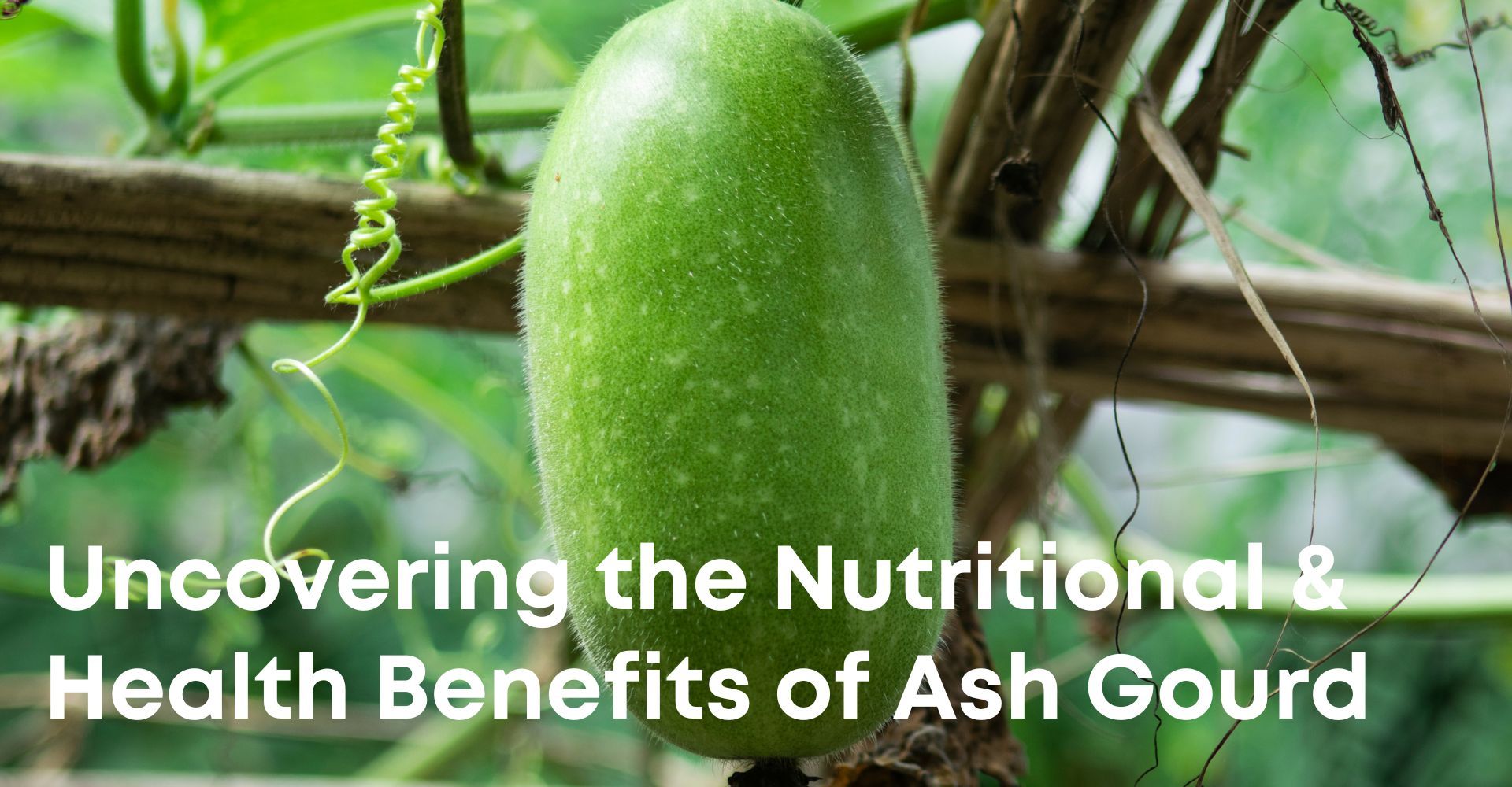 Nutrition Guide India | Healthy Eating with Fruits, Vegetables ...