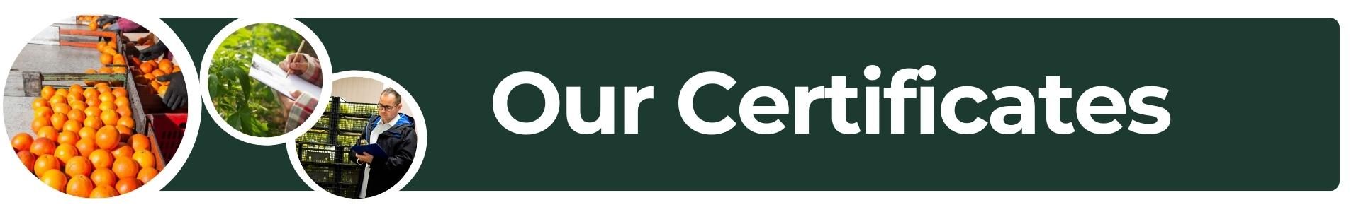 Farm To Door | Online Vegetables Near You | Pluckk | Order Now